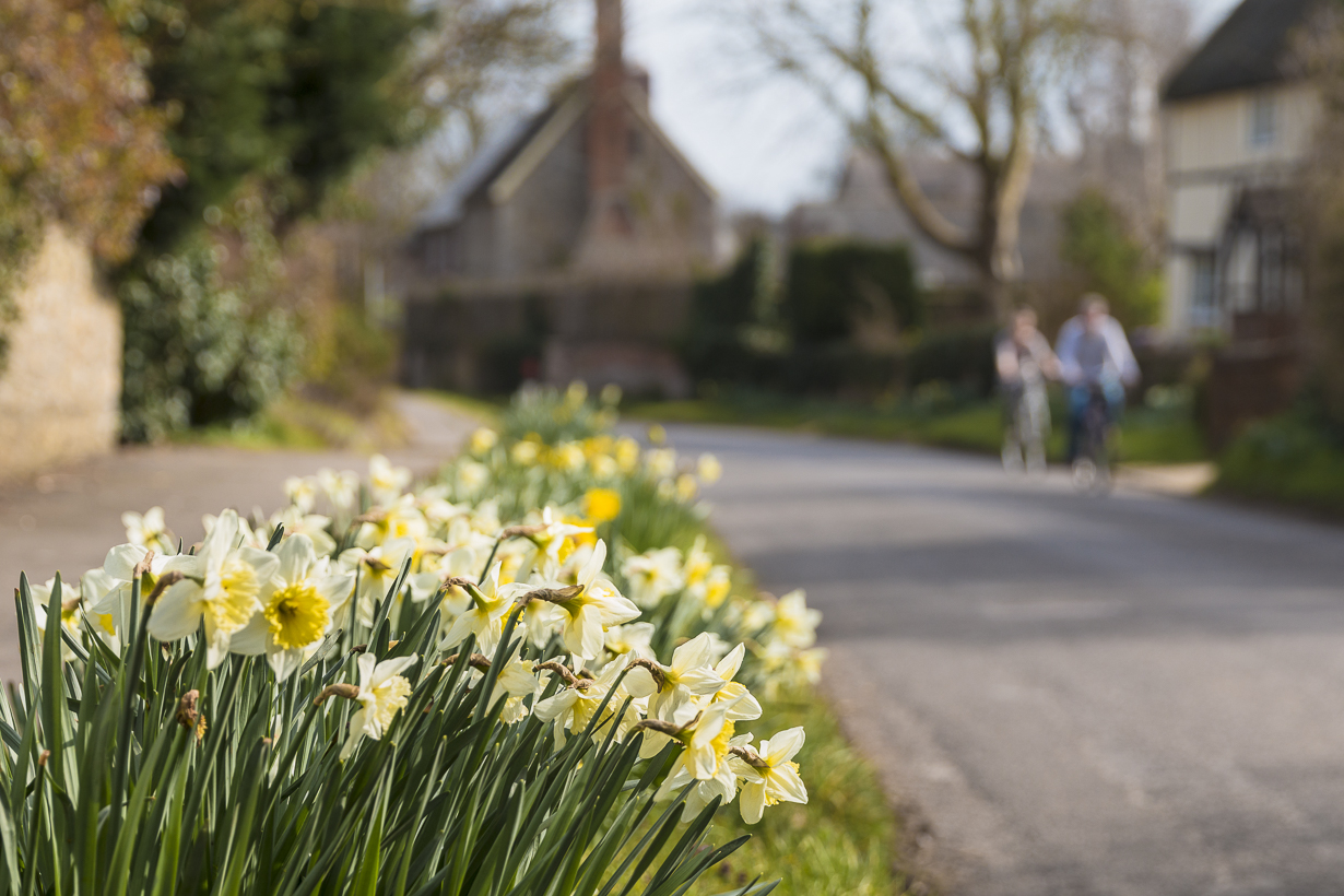 Review of Keevil’s Village Design and Communication options – report ...