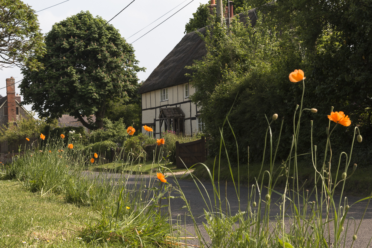 Review of Keevil’s Village Design and Communication options – report ...