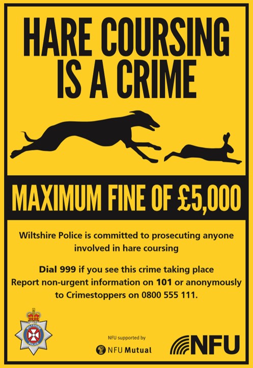 Help Stamp Out Illegal Hare Coursing – KEEVIL VILLAGE